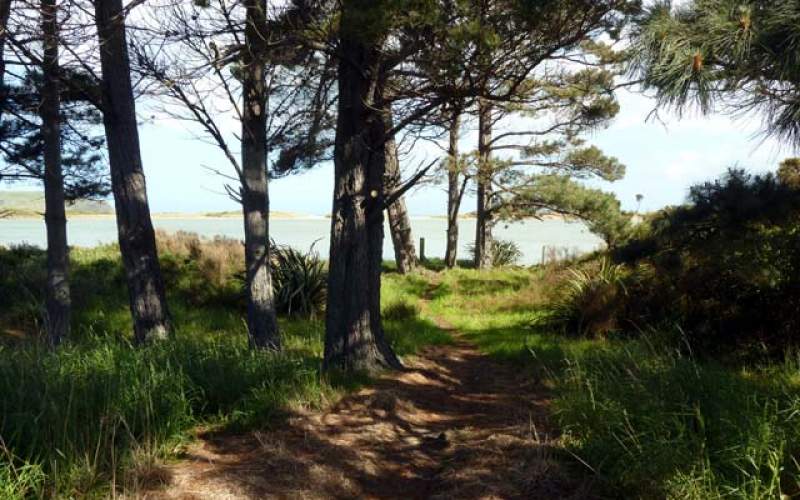 Weirs Beach Recreation Reserve | Freedom/Basic Camp | New Zealand